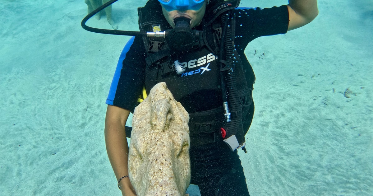Protaras: Turtle Bay Introduction and Safari Dive Combo | GetYourGuide