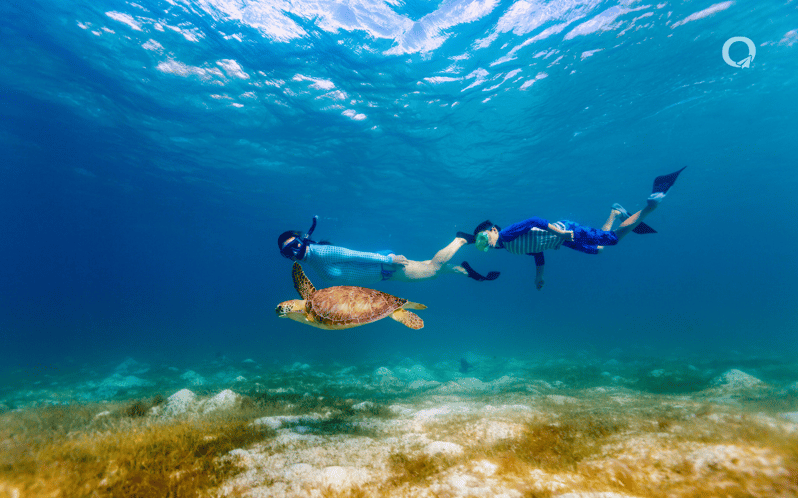 Riviera Maya: Snorkeling with Turtles, Cenotes and Tulum Mayan Ruins ...