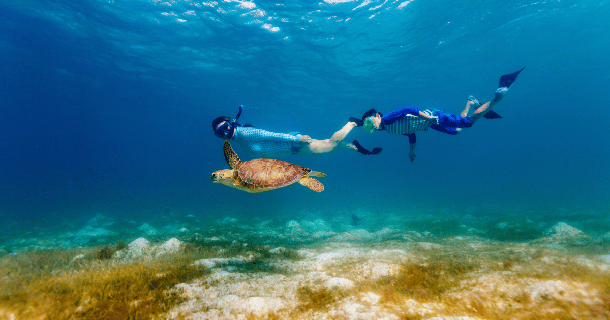Riviera Maya: Schnorcheln mit Schildkröten in Akumal und Besuch einer ...