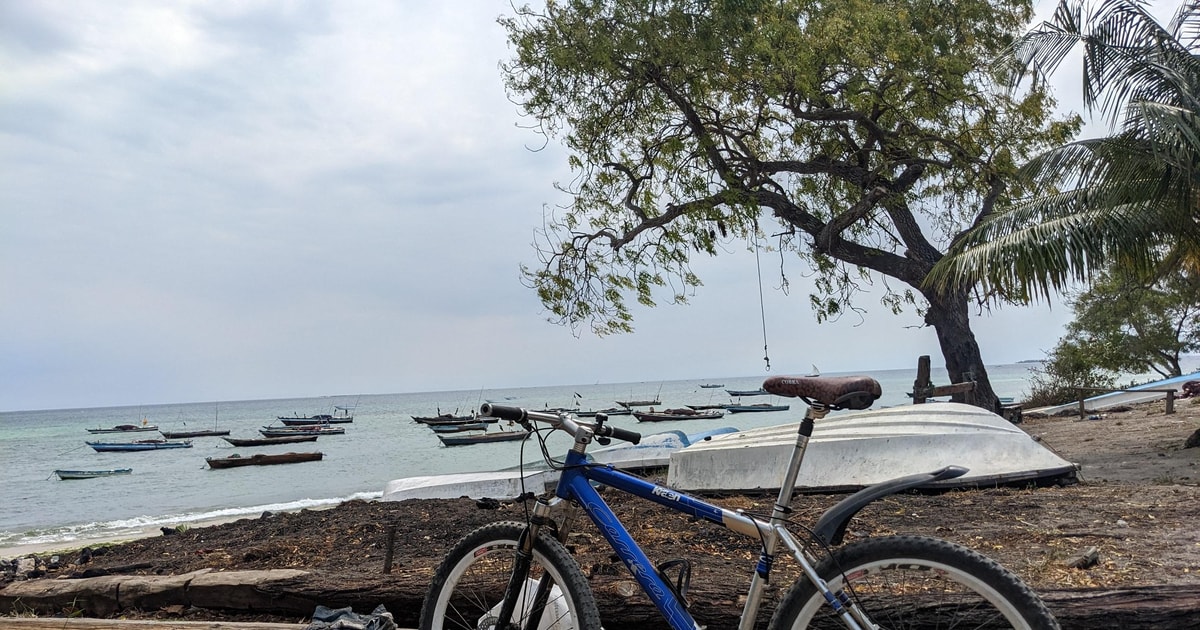 Rise and Ride: The Other Side of Stone Town | GetYourGuide