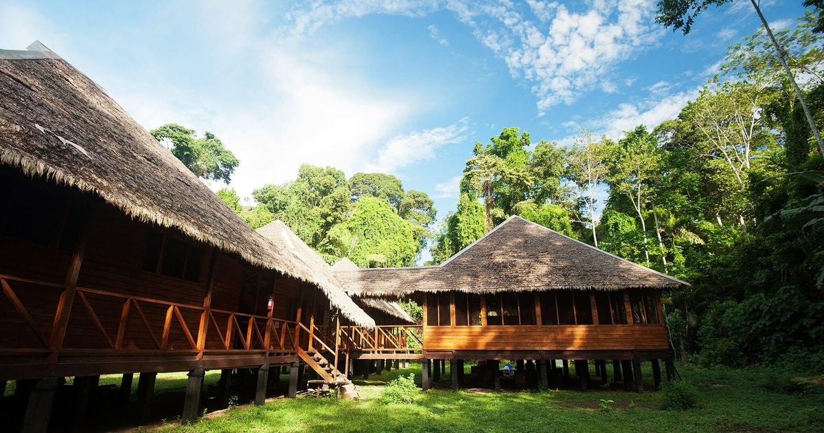 Manu Jungle Tour 5 Days | GetYourGuide