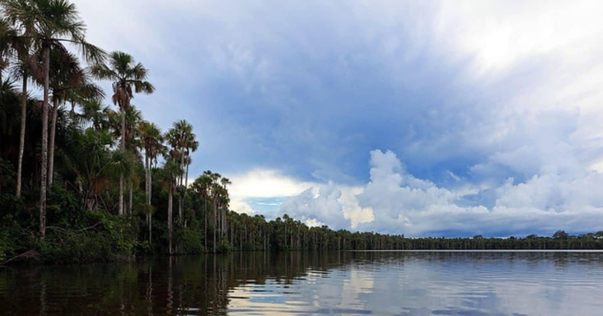 Tambopata Rainforest 4D |Sandoval Lake + Campfire + Hiking| | GetYourGuide