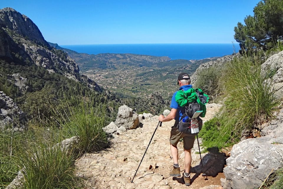 Mallorca Sòller Walking & Picnic Tour (Palma-Magaluf-Sòller) | GetYourGuide
