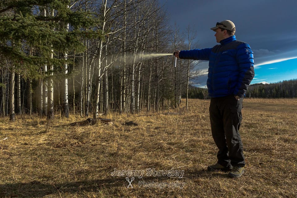 Canmore: Bow River - Scenic Float Tour | GetYourGuide