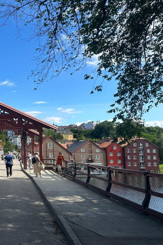 Trondheim: 2-hour City Walking Tour | GetYourGuide