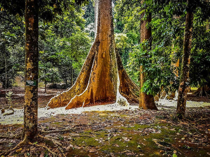 From Jakarta : Waterfall , Botanical Garden , Puppet Show | GetYourGuide