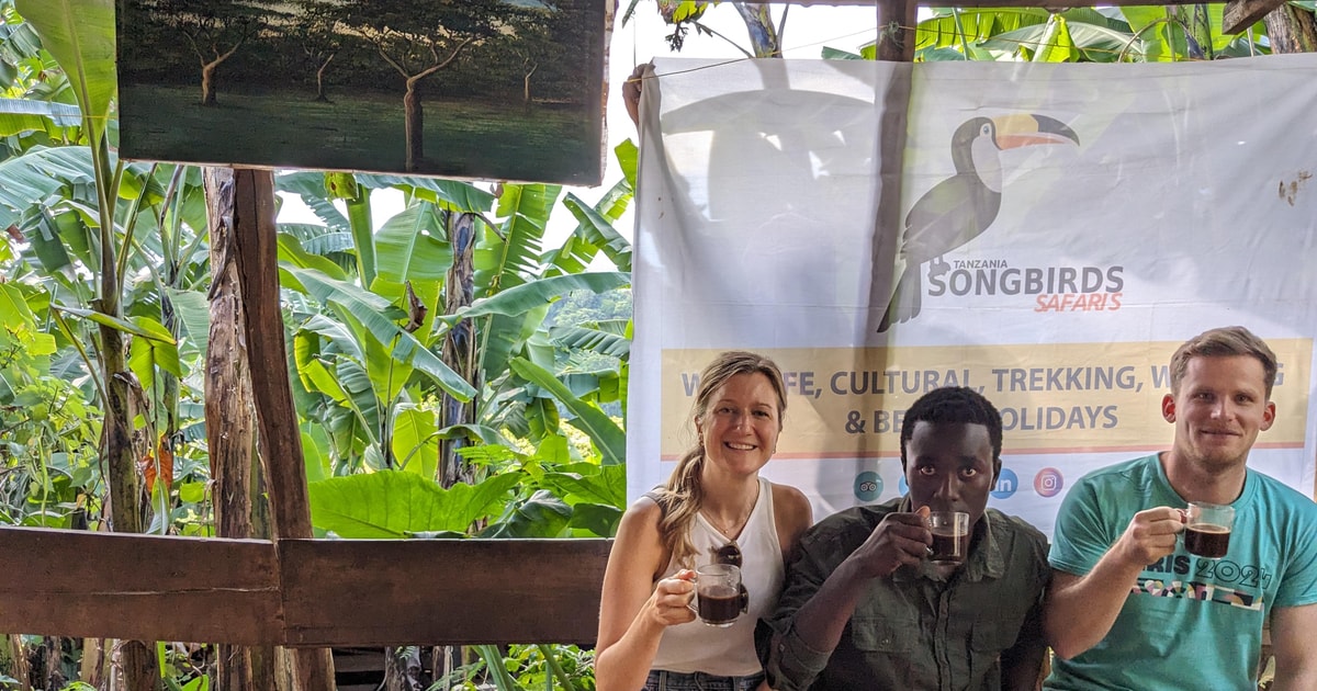 Arusha: Materuni Waterfall &local coffee tour in Kilimanjaro | GetYourGuide
