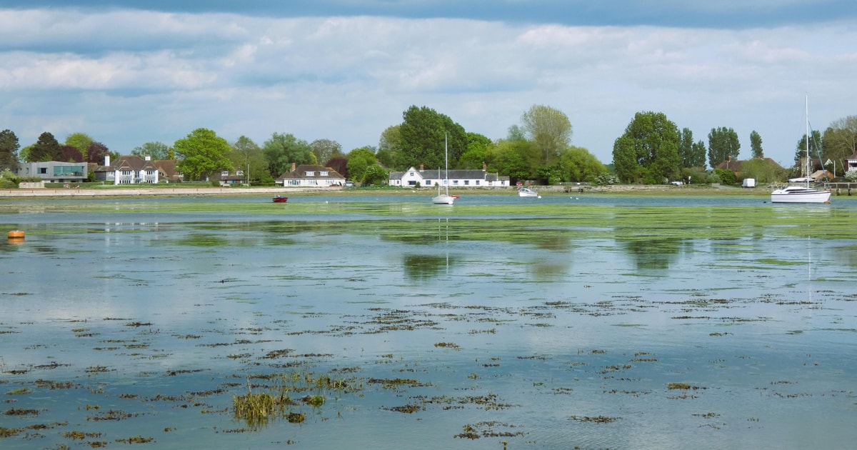Chichester Harbour: hiking and birding from London | GetYourGuide