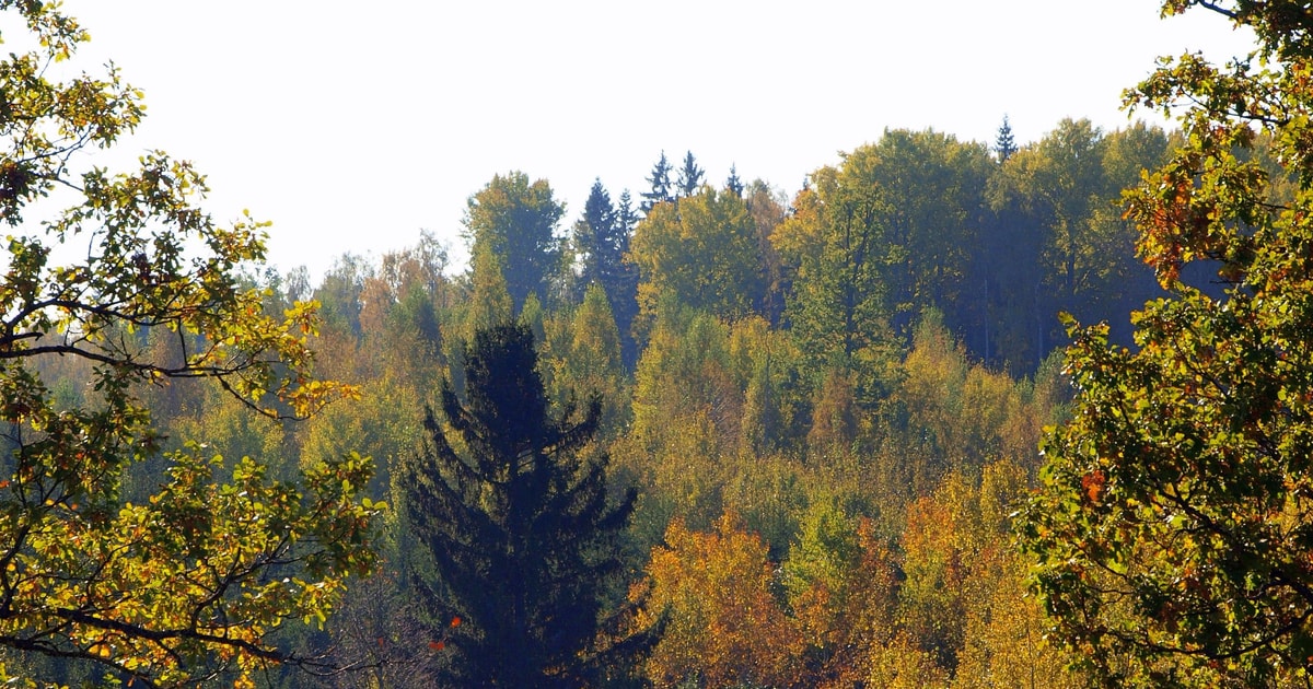 Pokaini stone agglomerates, Dobele castle, Nakotnes park | GetYourGuide