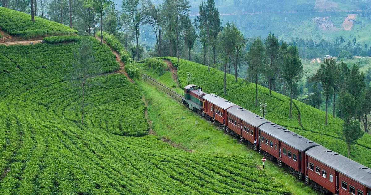 ELLA TO KANDY TRAIN TICKET 2ND Class Seat Reservation | GetYourGuide