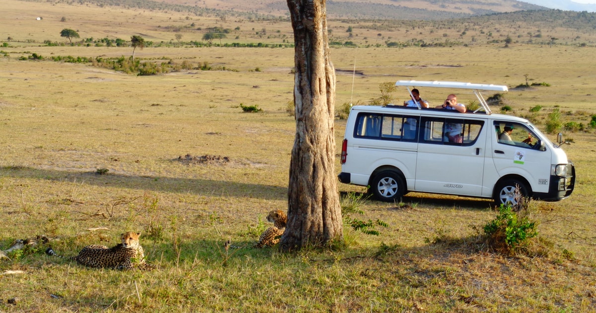 Nairobi National Park full/half day tour & Guide + Pick/Drop | GetYourGuide