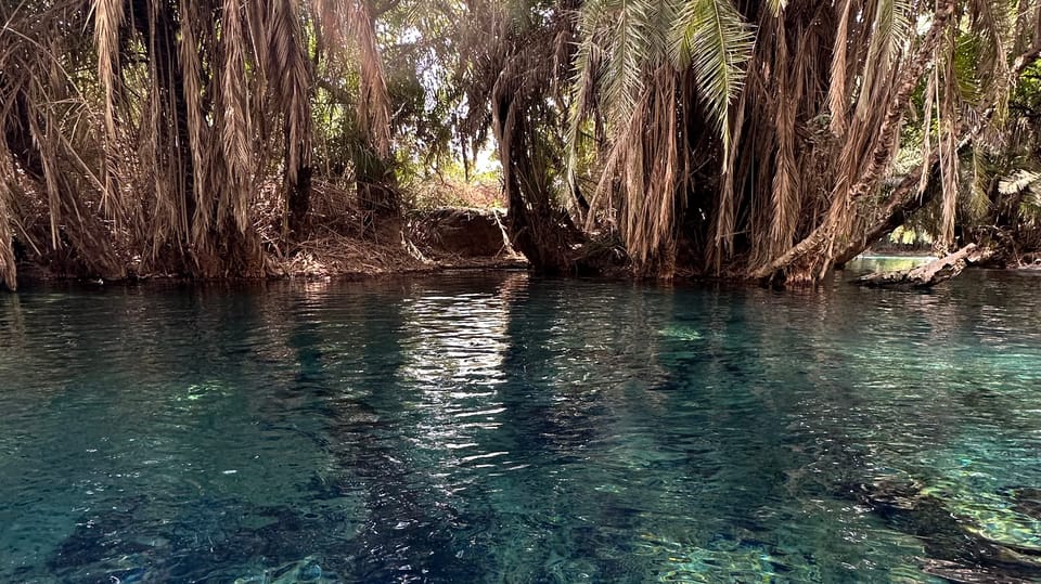 Kikuletwa (Chemka / Mani Moto) Hot Springs Tuk Tuk Day Trip | GetYourGuide