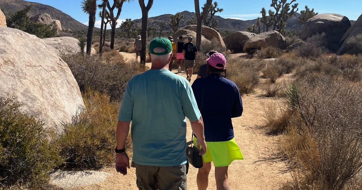 Sightseeing Adventure Tour of Joshua Tree Park (Max 10) | GetYourGuide