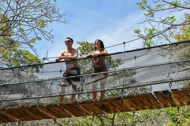 National park + waterfall + hot springs Hike | GetYourGuide