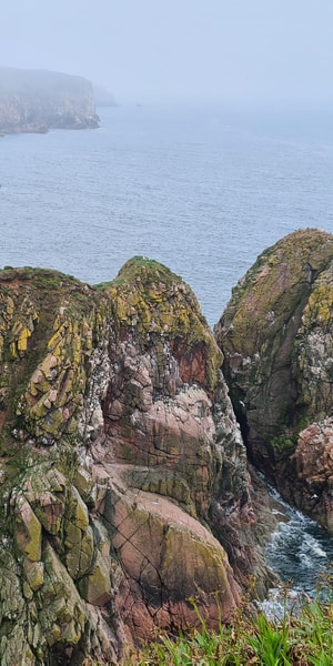 From Aberdeen: Coastal Villages of Aberdeenshire Tour | GetYourGuide