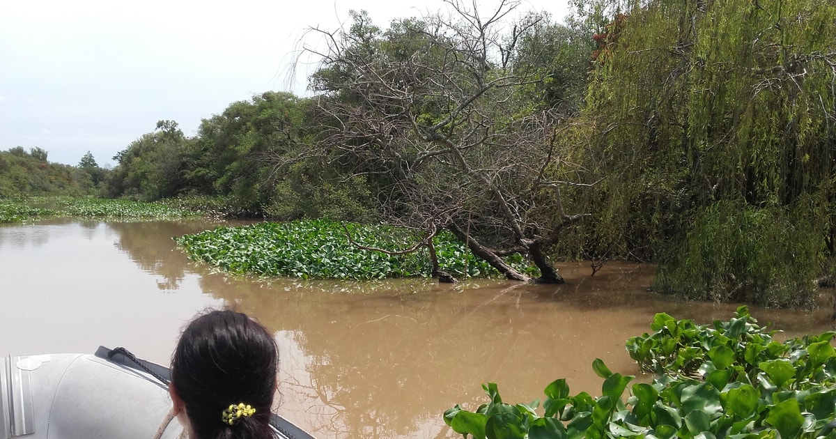 Tigre: Safari Delta Boat Tour a Tigre | GetYourGuide