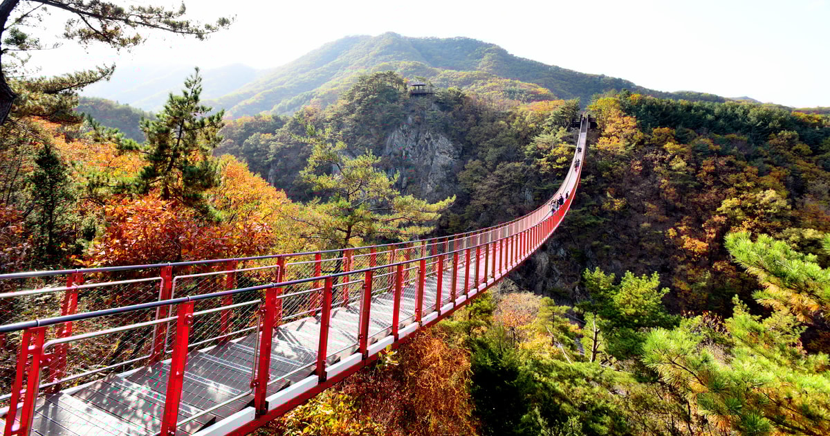 From Seoul: DMZ 3rd Tunnel and Red Suspension Bridge Tour | GetYourGuide
