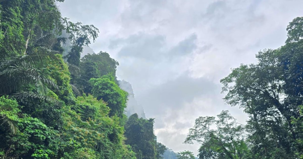 Khao Sok Park: Jungle Kayak Adventure & Wildlife Tour | GetYourGuide