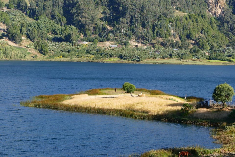Impresionantes Vistas Lago Cráter Wonchi una excursión de un día en ...