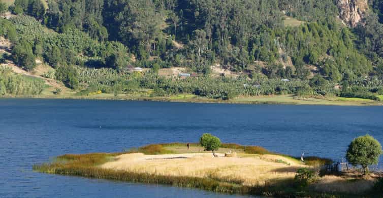 Stunning Views Wonchi Crater Lake a Private Day Trip | GetYourGuide