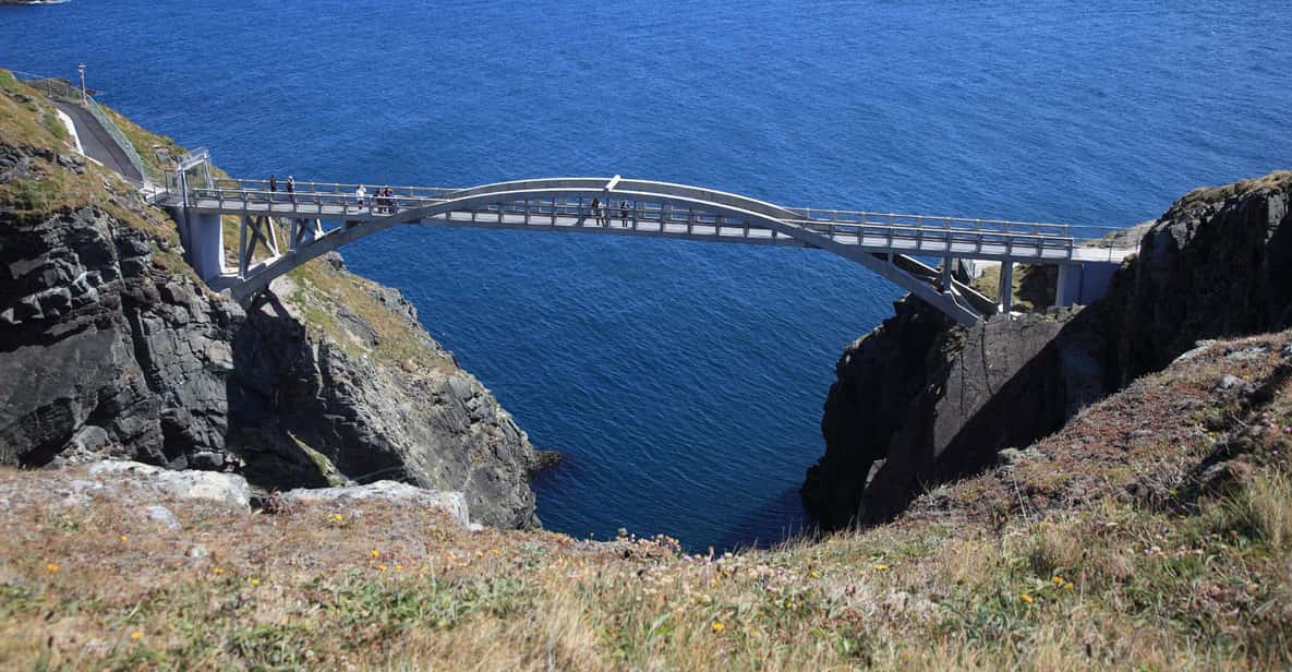 Desde Cork: De Cork Oeste a Mizen Head Tour guiado de día completo ...