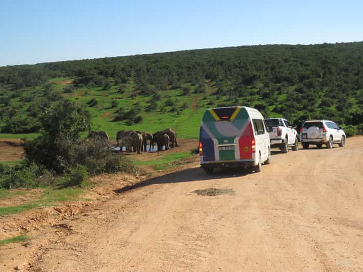 From Cape Town: 5-Day Garden Route & Addo Elephant Park Tour | GetYourGuide