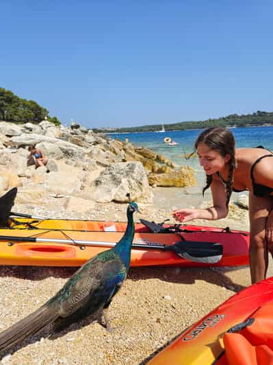 Pula: Island St. Jerolim and Kozada Kayak Tour | GetYourGuide