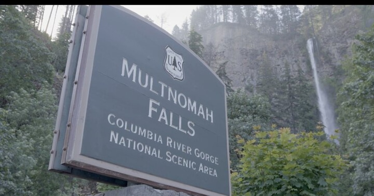 Multnomah Falls: 4 hour Guided Tour | GetYourGuide
