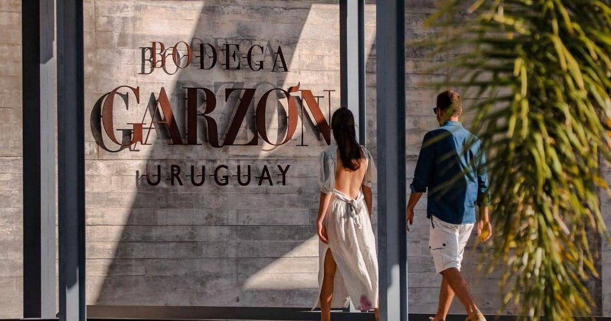 Wine Enthusiasts - Bodega Garzon Experience | GetYourGuide