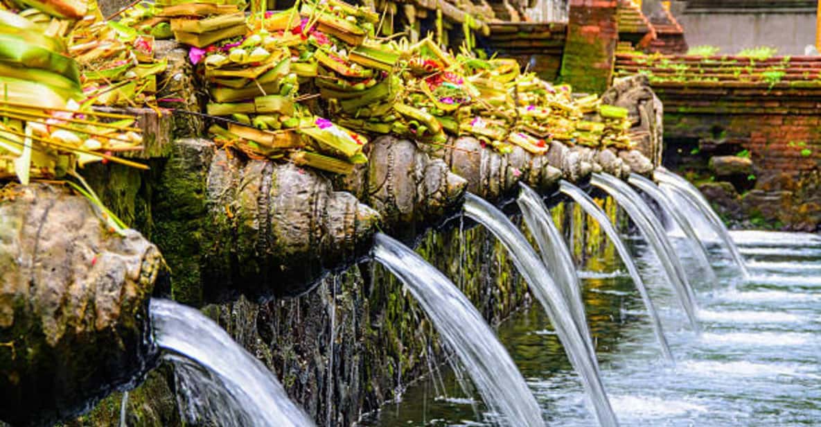 Bali: Rice terrace, Waterfall, and water Temple Day Tour | GetYourGuide