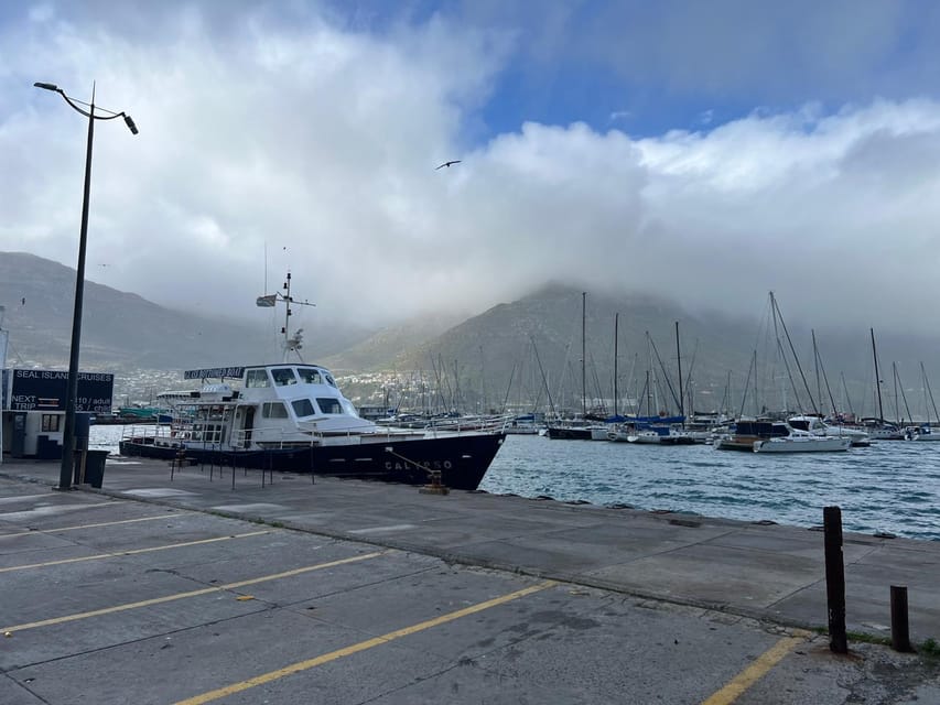 Full-Day Private Cape Town’s Most Beautiful Beaches Tour | GetYourGuide