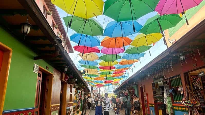 Tour Guatapé con visita a Granja de las Llamas y las Alpacas | GetYourGuide