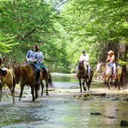 From Bandera: Guided River Trail Ride | GetYourGuide