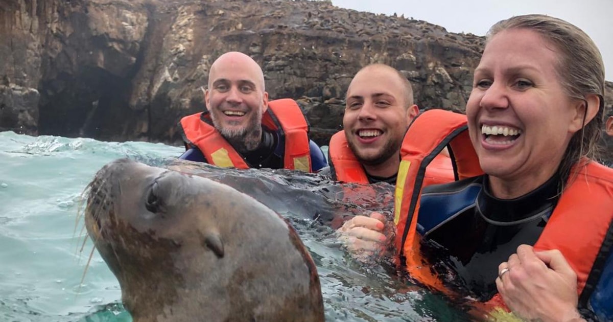 Ab Lima: Ausflug Palomino Inseln - Callao Bucht -Halbtag | GetYourGuide