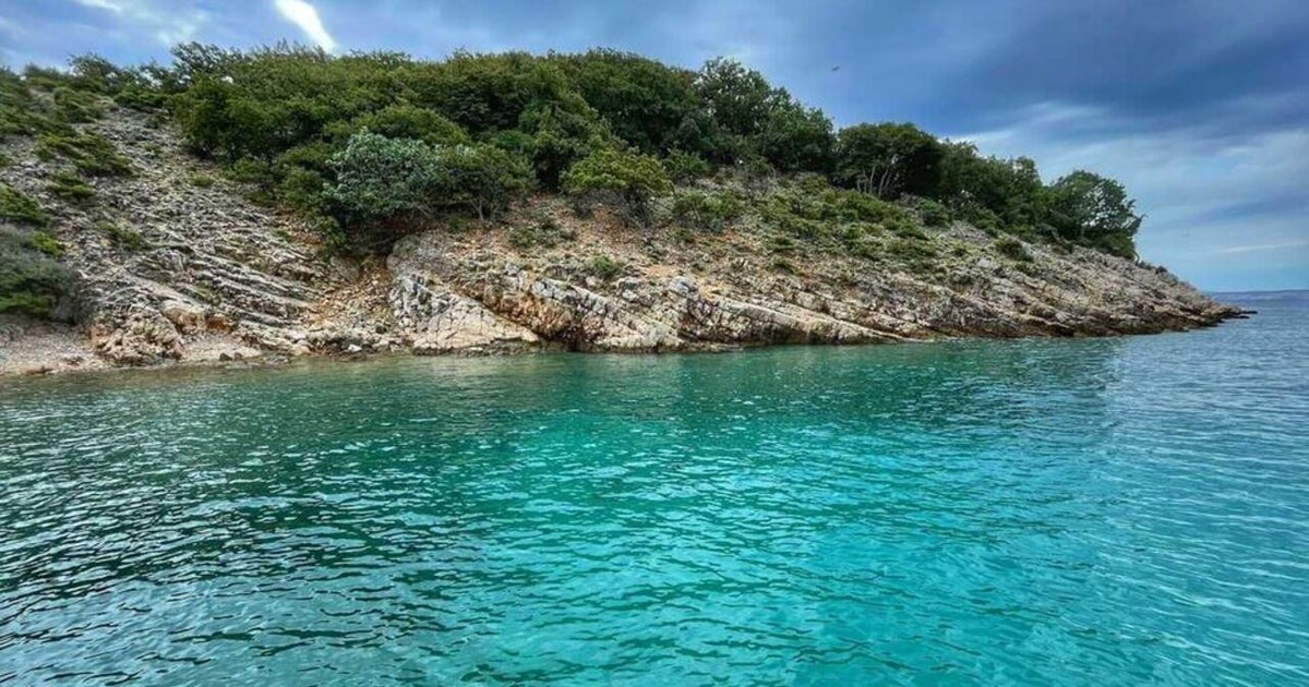Swim and Snorkel with Capt. Bobo on Plavnik Island (Private) | GetYourGuide