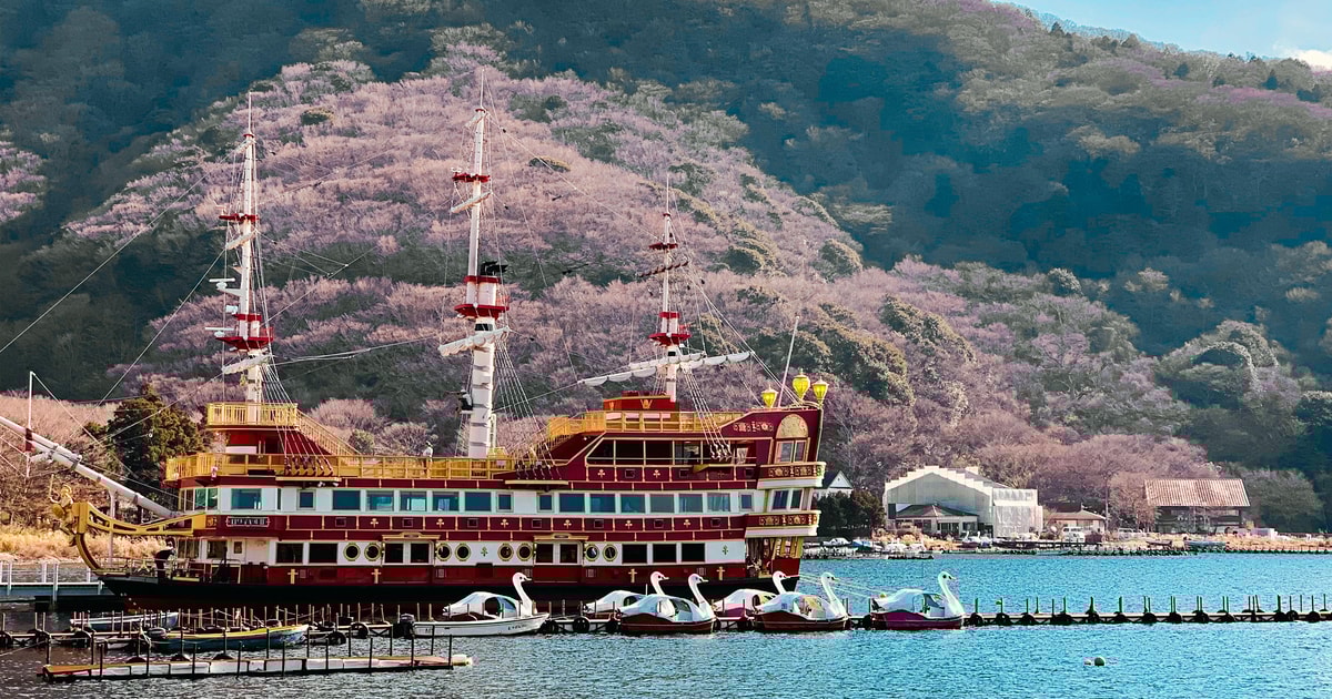 Tokyo : Hakone Onsen Nature & Art Lake Ashi private day tour | GetYourGuide