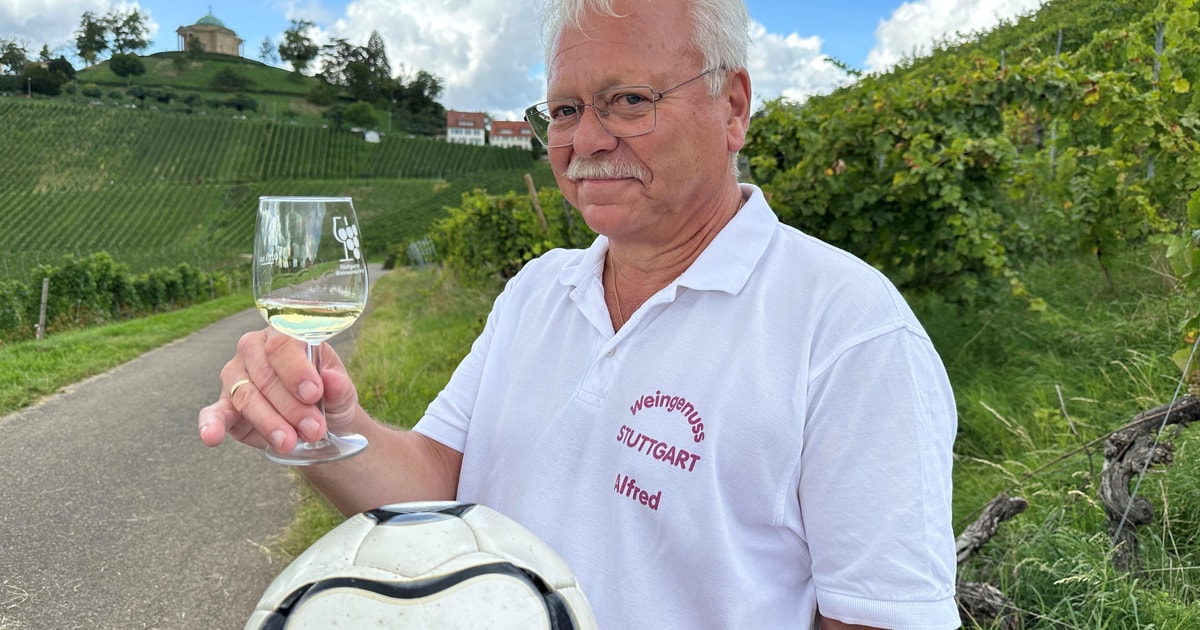 Fußball Weintour - Football & Wine Tour | GetYourGuide