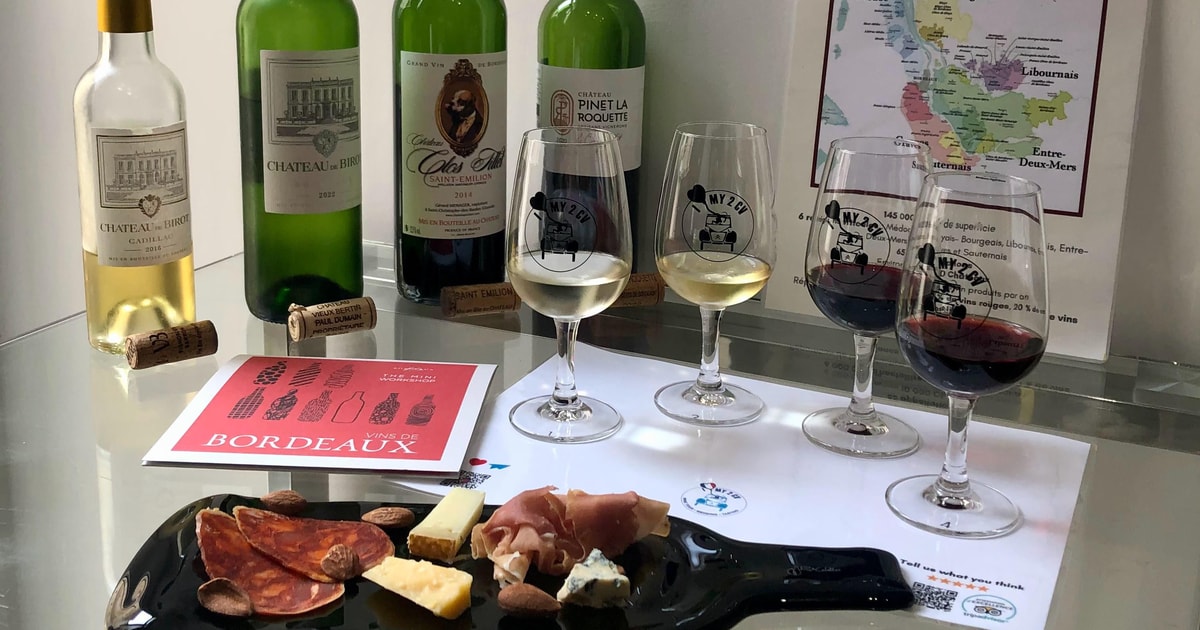 Bordeaux: Guided Bordeaux Wine Tasting Class with 6 Wines | GetYourGuide