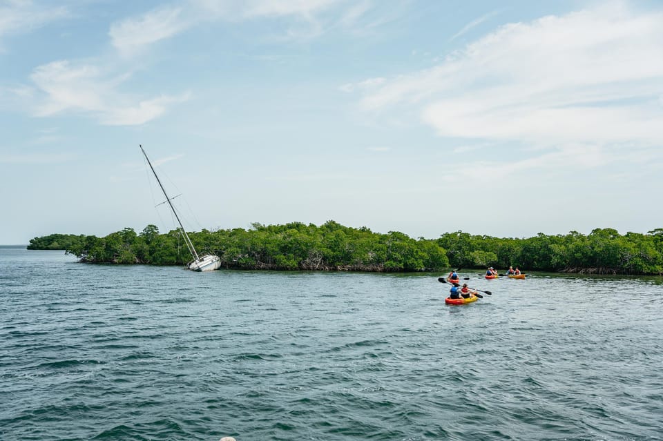 Key West: Sandbar Excursion & Kayak Tour with Lunch & Drinks | GetYourGuide