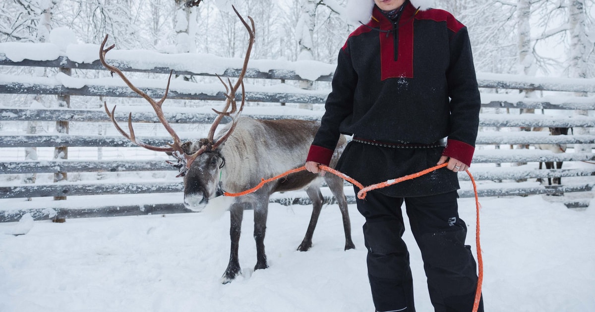 Rovaniemi: Husky & Reindeer Experience with Snowmobile Ride | GetYourGuide