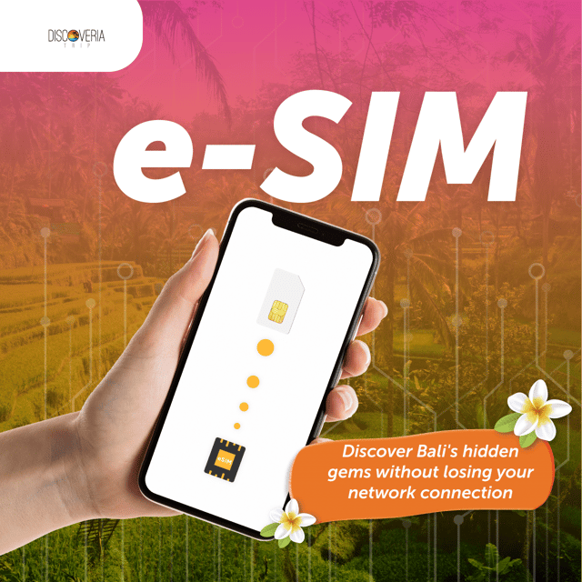 인터넷 데이터용 인도네시아 데이터 SIM(eSIM) | GetYourGuide