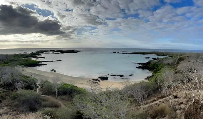Floreana Island: Ganztägige Galapagos-Tour mit Enchanted Islands ...
