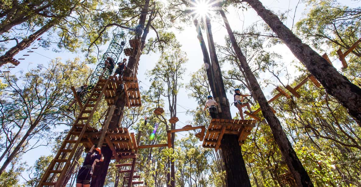 Dwellingup: Tree Ropes Course | GetYourGuide