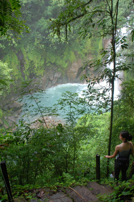 Rio Celeste Waterfall & Sloth Observation | GetYourGuide