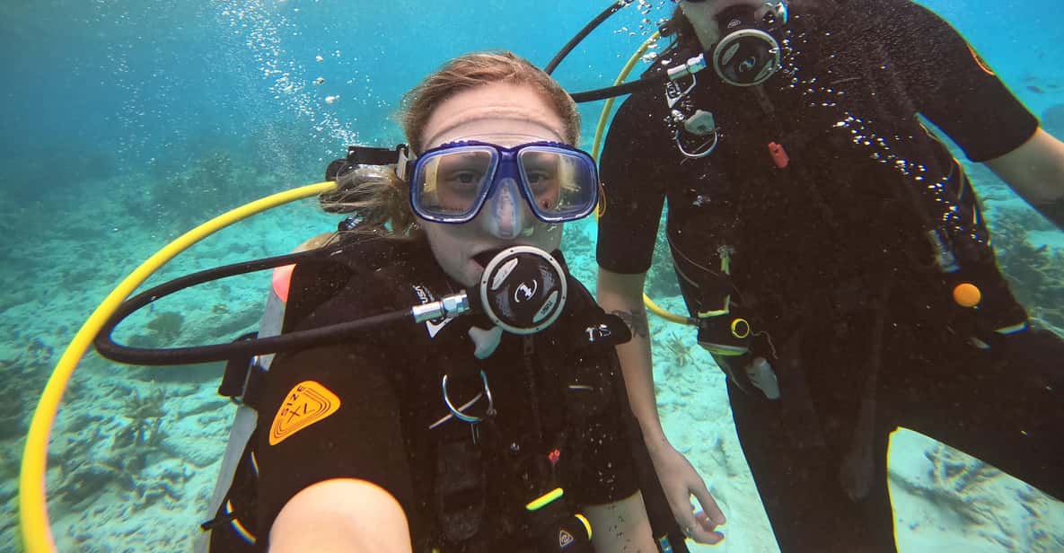 Bonaire: Discover Scuba Diving Experience | GetYourGuide
