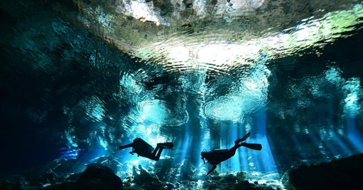 Scuba Diving Tulum Beginners: Explore the Underwater World | GetYourGuide