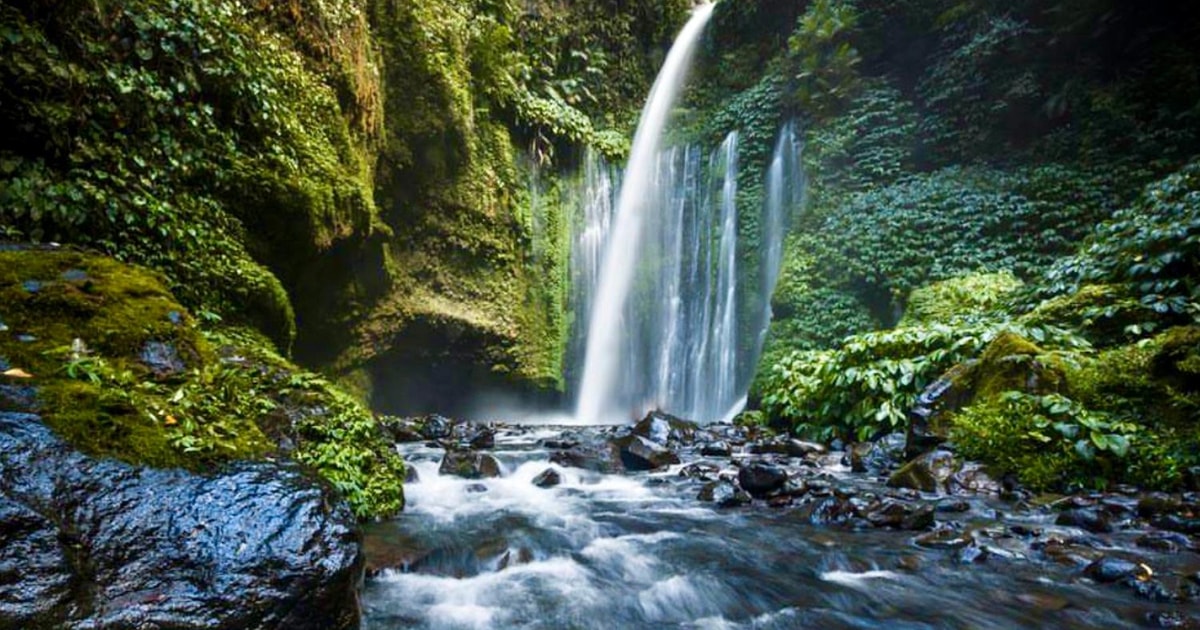 Lombok: Sendang Gile – Tiu Kelep & Selong Hills Sembalun | GetYourGuide