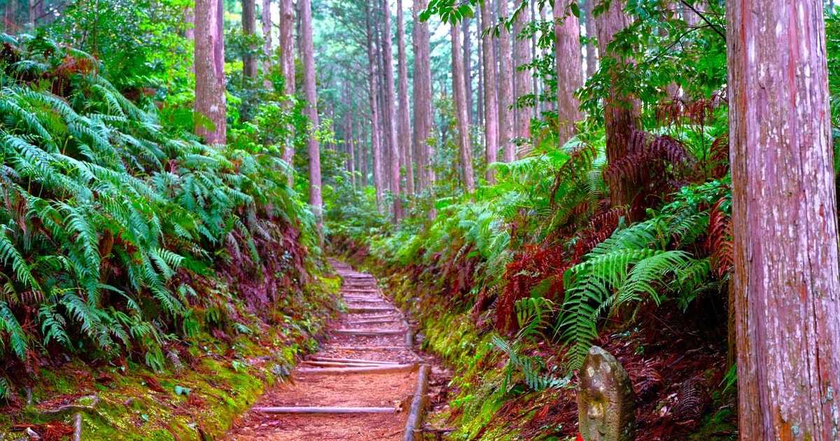 Wakayama: Walk the Kumano Kodo to Kumano Hongu Taisha | GetYourGuide