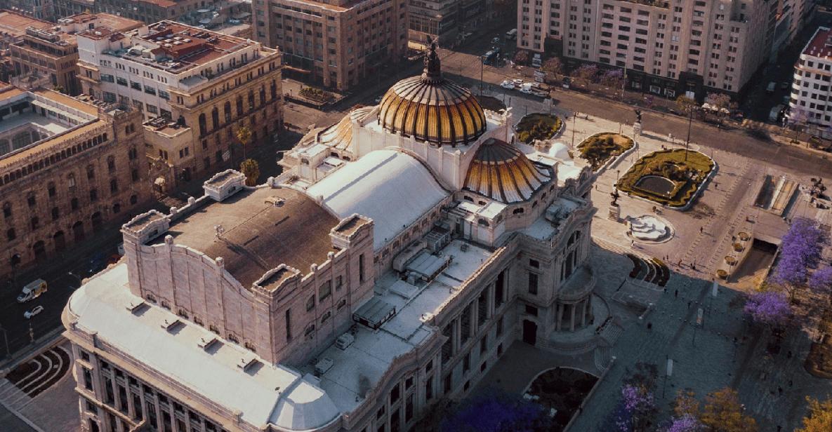Súkromný vodič Mexico City: Preskúmajte, ako chcete | GetYourGuide