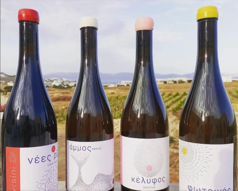 Paros wine tour and tasting | GetYourGuide